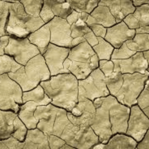 Lavastenen worden alsmaar populairder! - Gravelart