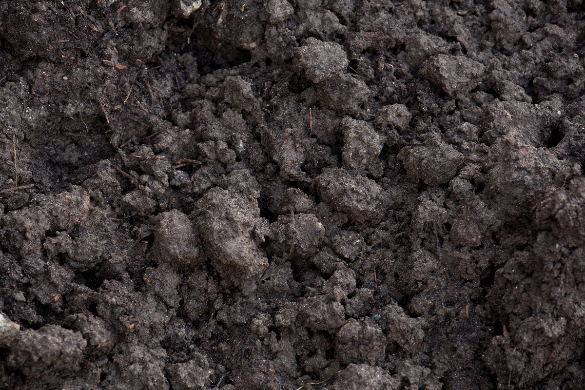 SOLgreen - Compost vert - Gravelart