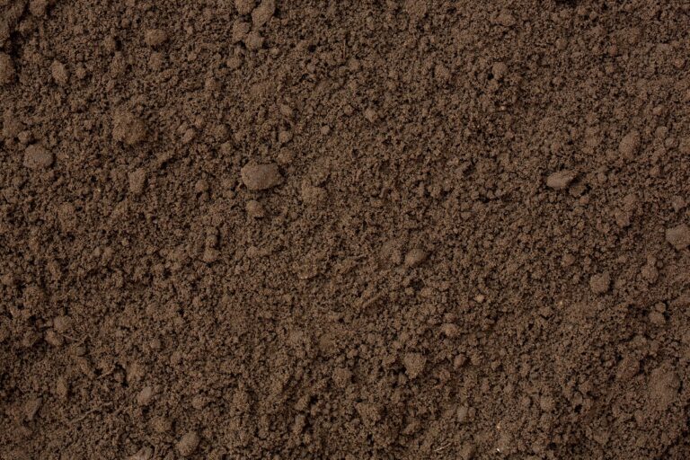 SOLterre - Teelaarde - Gravelart