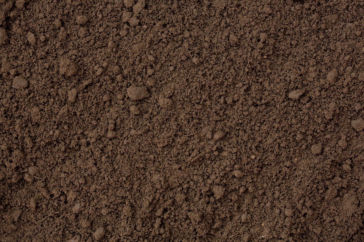 SOLterre - Teelaarde - Gravelart