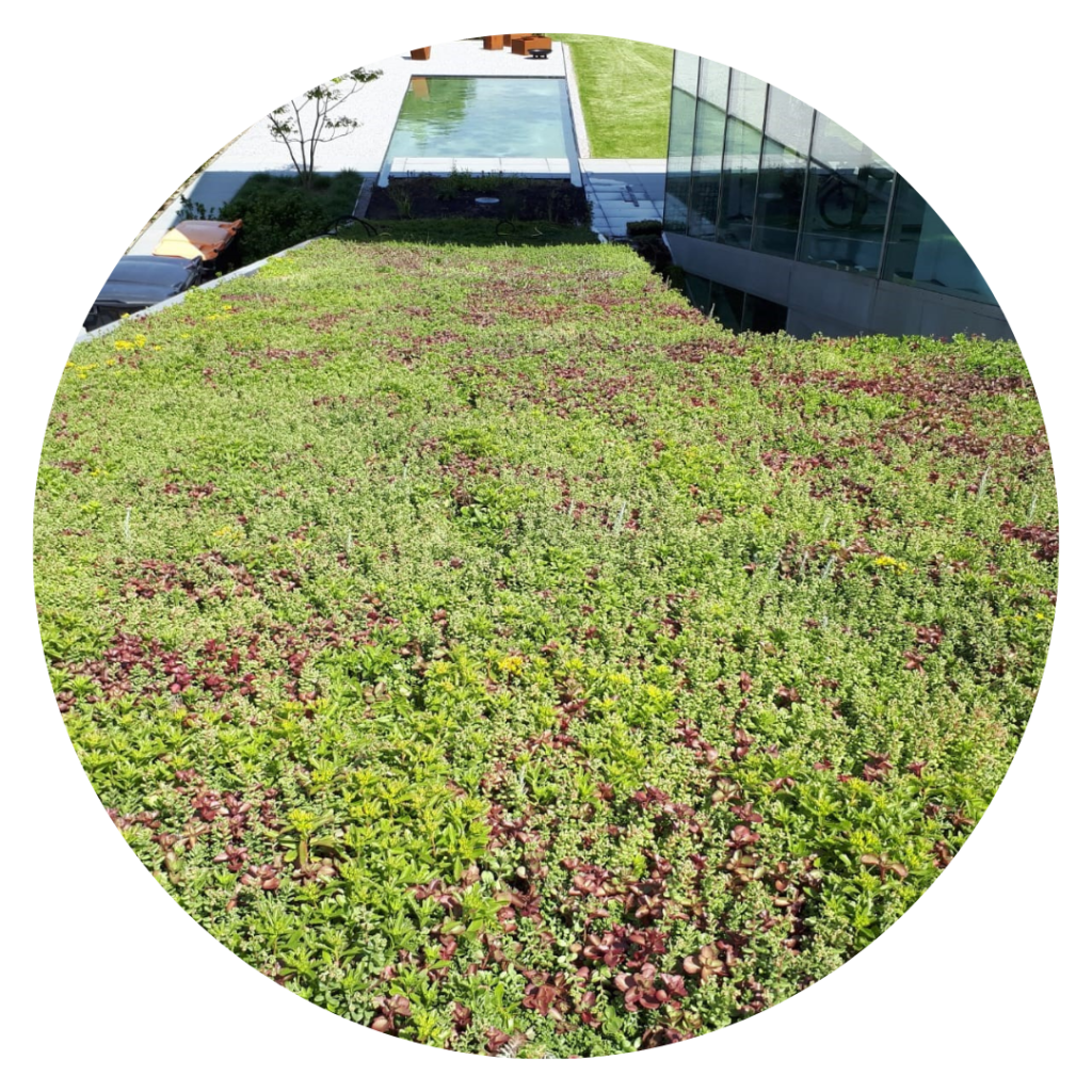 Opbouw van een Groendak met Vivamix - Gravelart