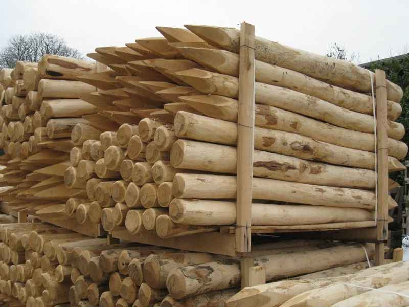 Acacia paal 1.80M Ø6-8 - Gravelart